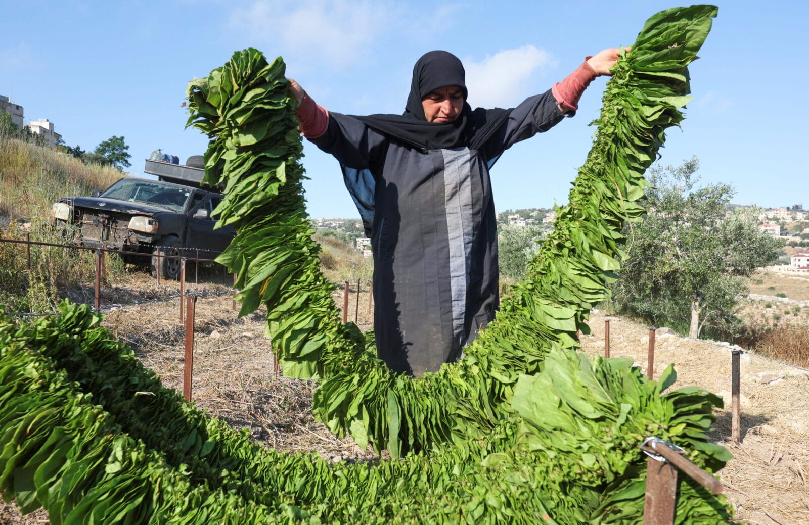 The Houthis’ ‘Sovereign Solidarity’ with Palestine - MERIP